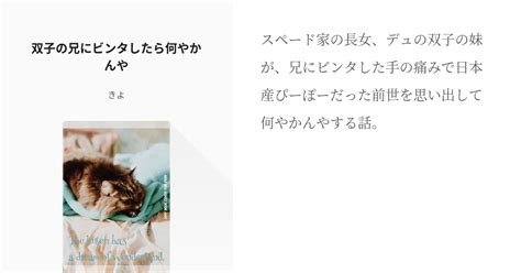 「双子の兄にビンタしたら何やかんや」「きよ」のシリーズ Pixiv