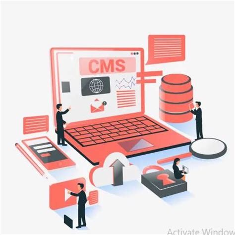 Cms And E Commerce At Best Price In Surat Id 2849748985130