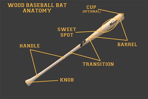 Definitive Bat Sizing Guide How To Get The Right Bat For You Phoenix