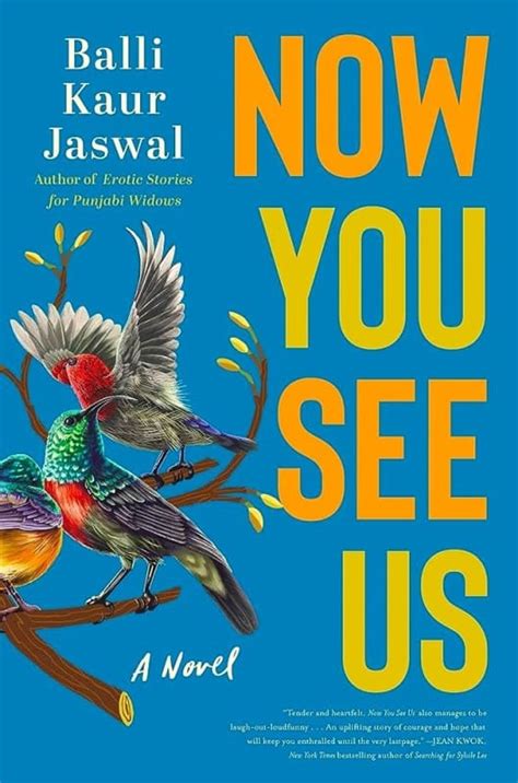 Now You See Us Balli Kaur Jaswal Book Review