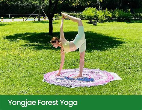 컬렉션 양재숲 요가 클래스 솜씨당