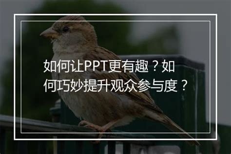 Ppt设置二级标题，如何操作更高效？如何快速区分主副标题？ 8104办公软件