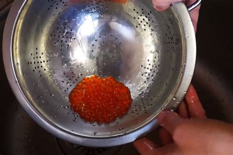 როგორ მოვამზადოთ სახლში წითელი ხიზილალა