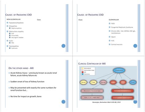 Akivsckd2015pdf The Differences Between Aki And Ckd Pdf