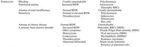 Complete Blood Count Cbc Components And Interpretation 42 Off