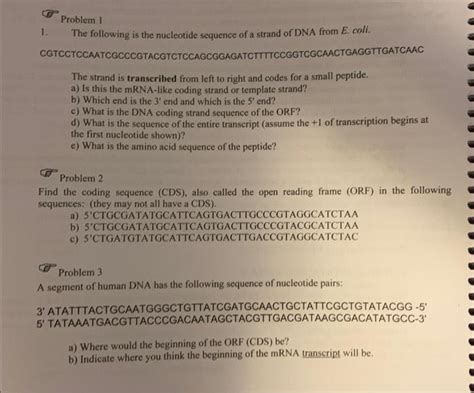 Solved Problem The Following Is The Nucleotide Sequence Chegg