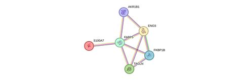 FABP5 Gene - GeneCards | FABP5 Protein | FABP5 Antibody