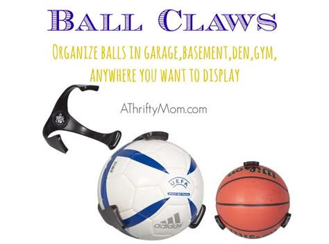 Ball Claws Low As 1299 ~ Organize And Display Balls In The Garage