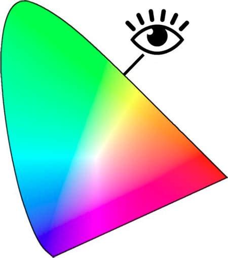 Color Gamut คือ อะไร มีมาตรฐานอะไรบ้าง เลือกจอคอมแบบไหนดี