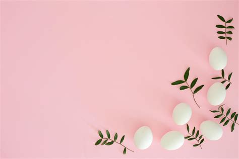 계란 계절 고요한 구성 균형 꽃무늬 단순한 디자인 미니멀 미니멀리스트 배경 봄 부드러운 색상 팔레트