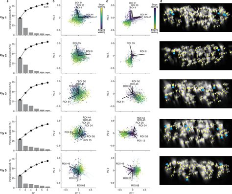 figures and data in descending neuron population dynamics during odor evoked and spontaneous
