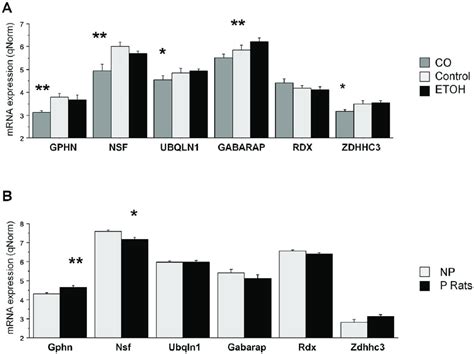 The Expression Of Genes Encoding Gabaa Receptor Associated Proteins In