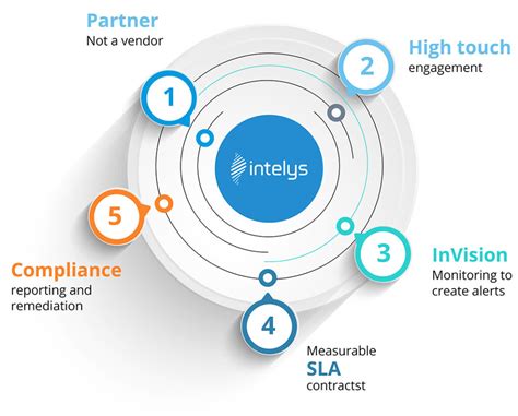Infrastructure Support Intelys