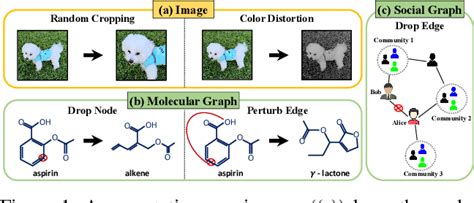 Figure 1 From Augmentation Free Self Supervised Learning On Graphs