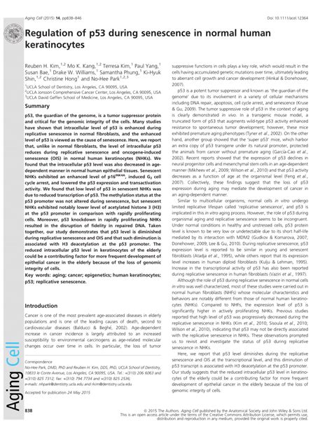 Pdf Regulation Of P53 During Senescence In Normal Human Keratinocytes