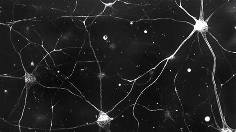 Algoritmos De Inteligencia Artificial Qu Son Y Tipos