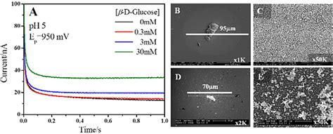 A Current Transient Recorded At An Au Microelectrode Upon Applying A