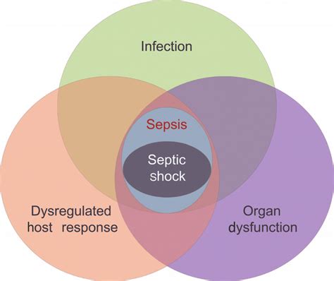 The Third International Consensus Definitions For Sepsis And Septic