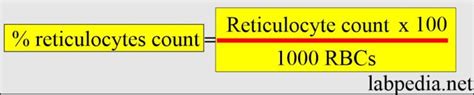 Reticulocyte Count Retic Count And Interpretations Reticulocyte Count Retic Count And Interpretations