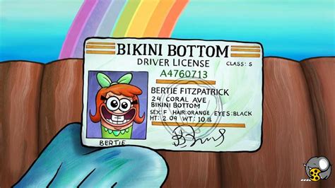 برنامه کودک باب اسفنجی فصل اخر قسمت اخر برنامه کودک باب اسفنجی دوبله فارسی کارتون باب اسفنجی