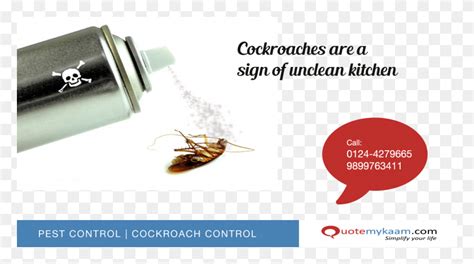 Cockroach Pest Control Remedy To Get Rid Of Cockroaches Insect