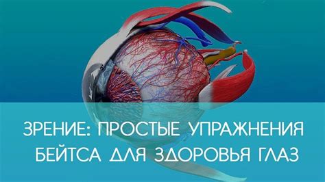 ГИМНАСТИКА БЕЙТСА ДЛЯ ЗРЕНИЯ Всё о здоровье Фотострана Пост №1949919343