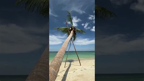 Relaxing Nature Sounds Youtube