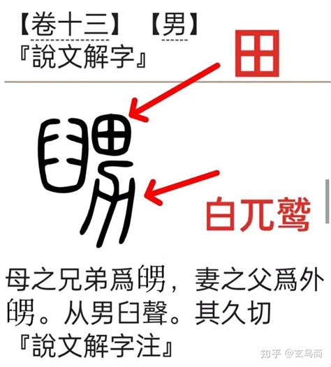 舅字甲骨文金文象形原型 知乎