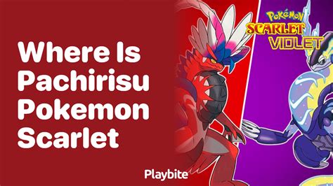 Where Is Pachirisu In Pokemon Scarlet Playbite
