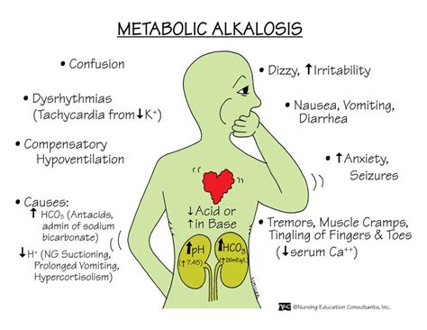 Metabolic Alkalosis Nur102 04939fundamentals Of Nursing