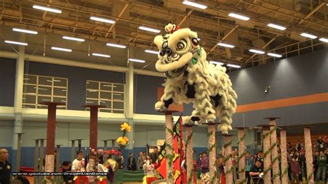 全港公開龍獅藝錦標賽2014 獅藝高樁陣組 香港毅勇龍獅團 Youtube