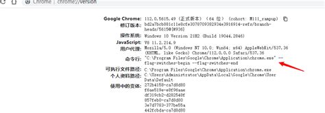Selenium 远程调试 Chrome Xyztank 博客园