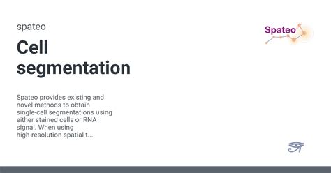 Cell Segmentation Spateo Documentation