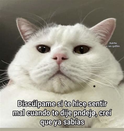 Ara on Twitter Tu última selfie eres tú por fuera Tu último meme