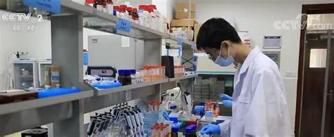 2020高考：首批36所试点高校招揽强基人才 中国网