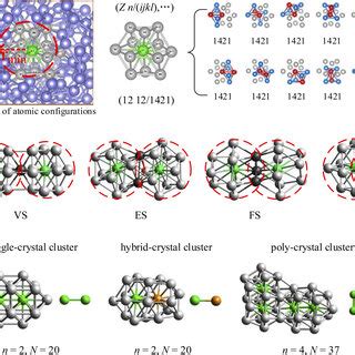 A Schematic Diagram Of Transient And Continuous Heredities Of Fcc SCCs Download Scientific