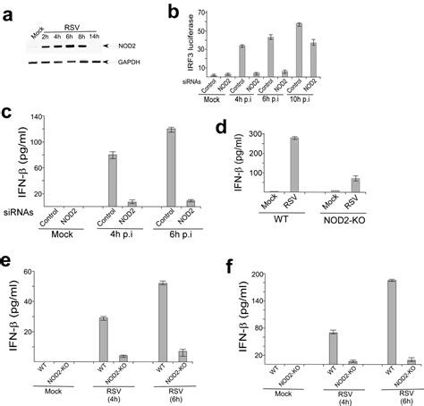 Activation Of Innate Immune Antiviral Response By Nod2 Pmc