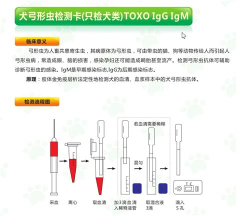 犬弓形虫IgG IgM快速检测卡