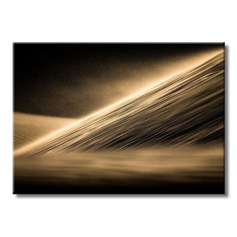 Dune Metal Wall Art Trophysmack