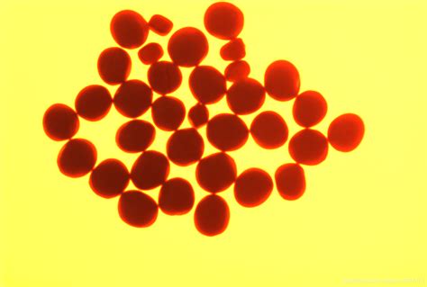 基于opencv的重叠图像的凹点分割（c）凹点分割法 Csdn博客