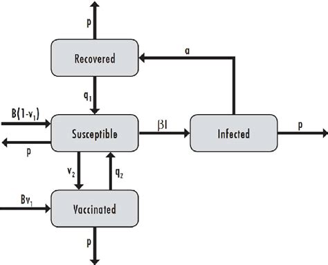 Schematic Representation Of The Transition Of Individuals In The Sirv
