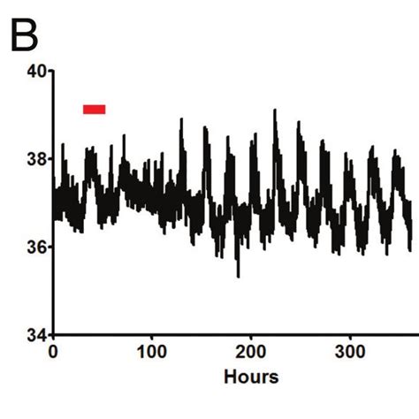 Body Temperature Fluctuations In Naive And Vaccinated Hamsters Infected