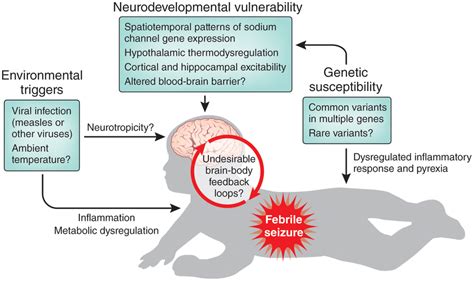 Febrile Seizure Symptoms