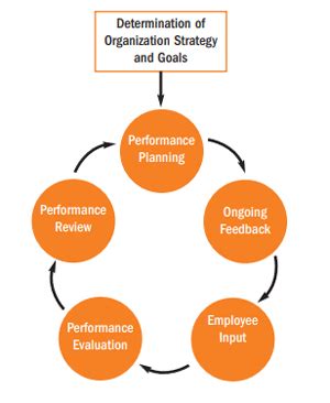 Overview Of The Performance Management Process Human Resource Management