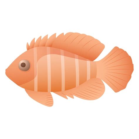 금붕어의 벡터 격리 만화 그림 프리미엄 벡터