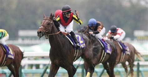 🔥20241012（土）中央競馬予想（9レース）🔥｜🏇ラブル＊中央競馬予想🏇