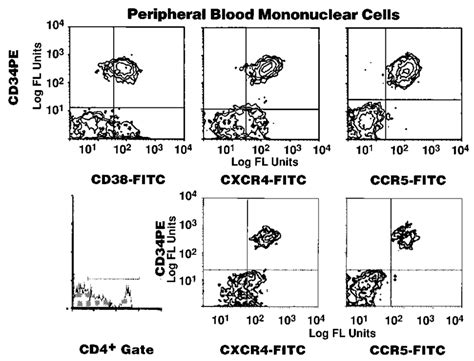 Phenotypic Expression Of Cxcr4 And Ccr5 On Peripheral Blood Derived
