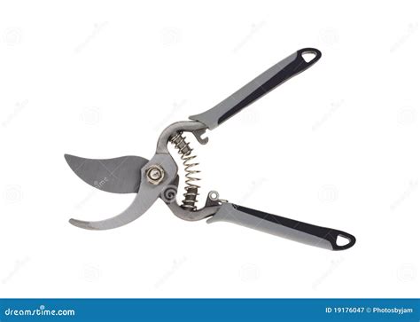 Tesouras De Poda Imagem De Stock Imagem De Tesouras 19176047