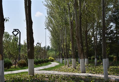 北京林业大学2024年在山西录取分数线、对应位次（附近几年最低录取分数线及位次排名） 大考100