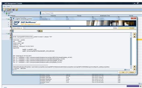 Simple About Sap Basis Sap Java Monitoring Check List 2